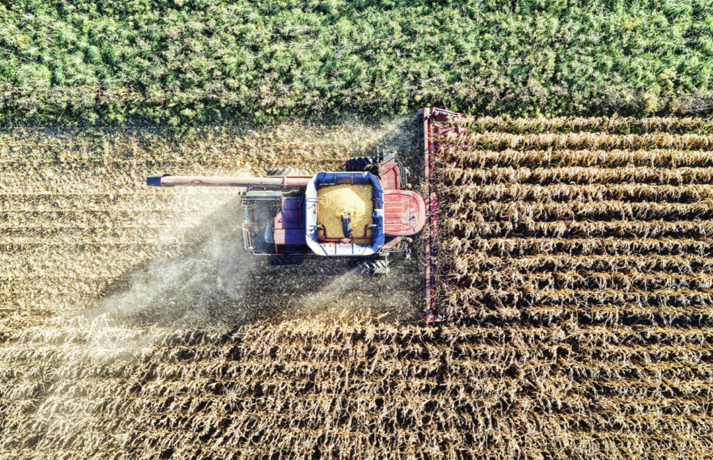 FMS - Qu’est-ce que l’agro-industrie